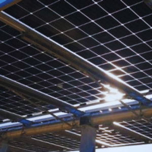 La guía definitiva para paneles solares bifaciales: lo que necesita ...