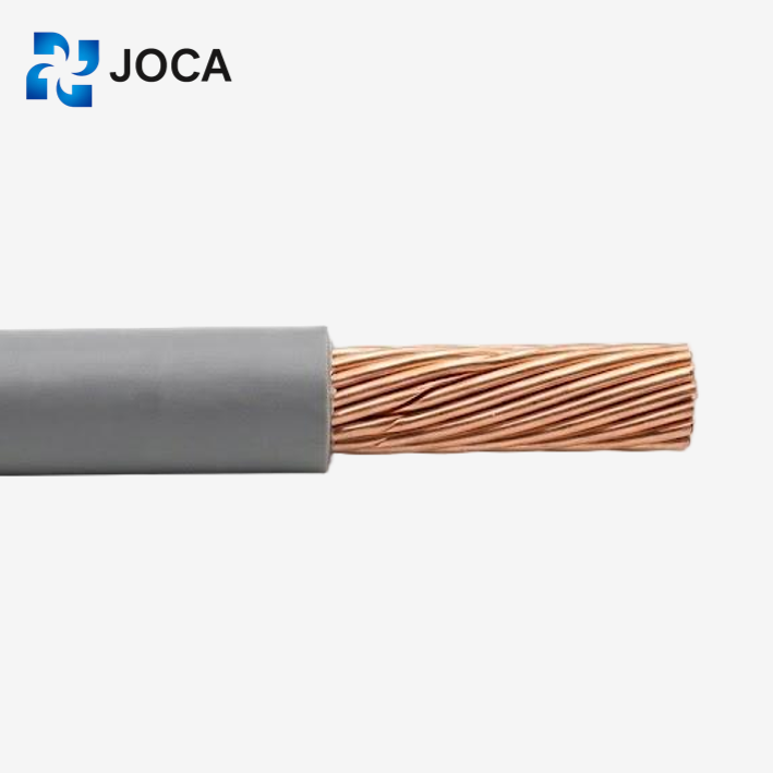 RHW-2 - JOCA